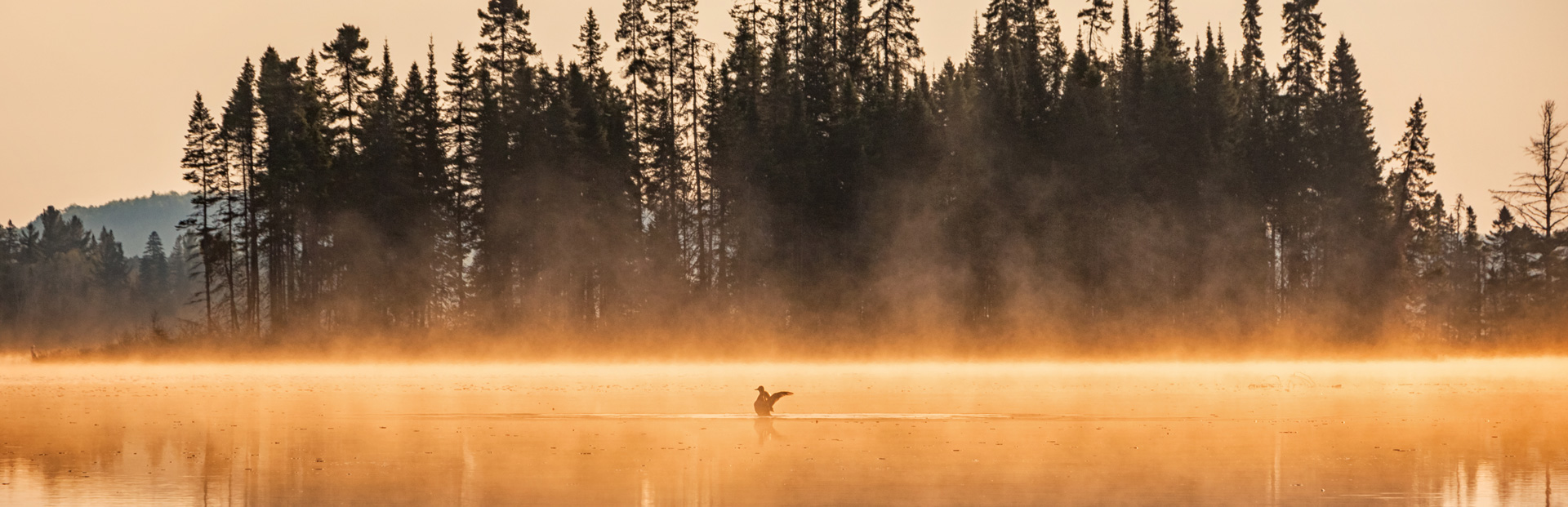 Home News » Wabaseemoong Independent Nations