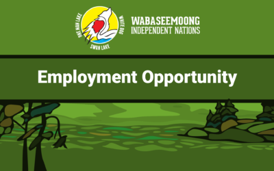 Home News » Wabaseemoong Independent Nations