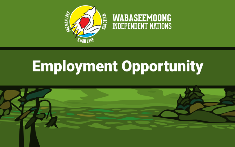 Home News » Wabaseemoong Independent Nations