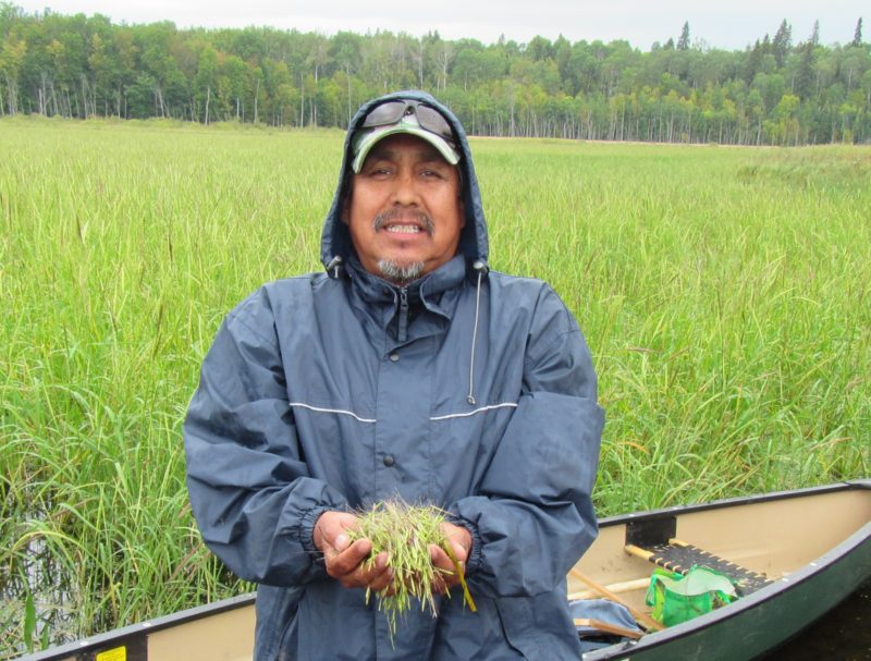 Photo Gallery » Wabaseemoong Independent Nations