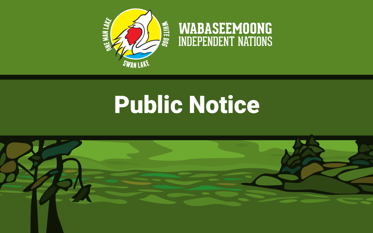 Ontario Electricity Support Program for Lower-Income First Nation ...